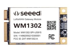 What is a LoRaWAN Gateway Module used for? – AtulHost